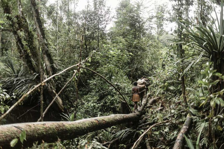 Korowai Dairam Expedition - Tour