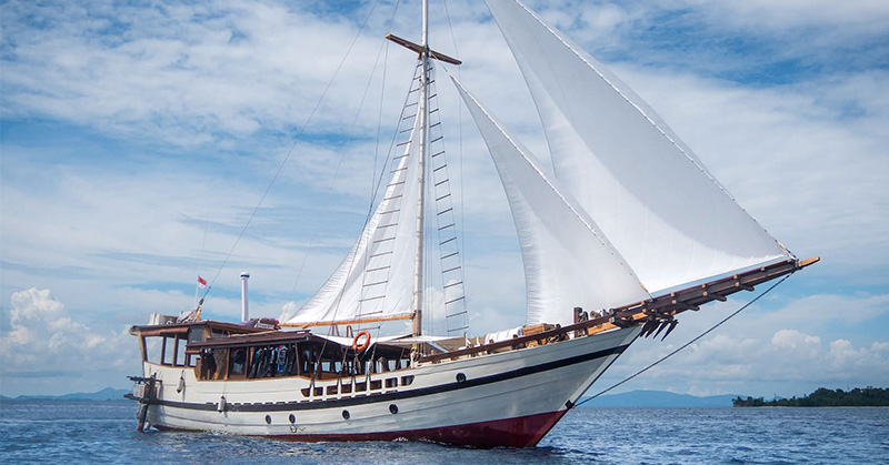 8-Day Comfort Cruise in Raja Ampat